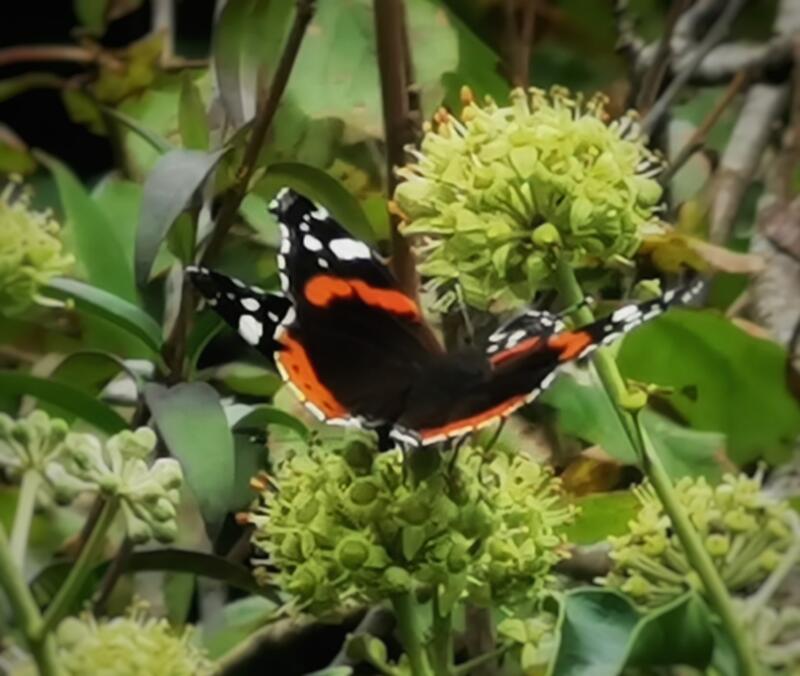 MeWe - The Next-Gen Social Network