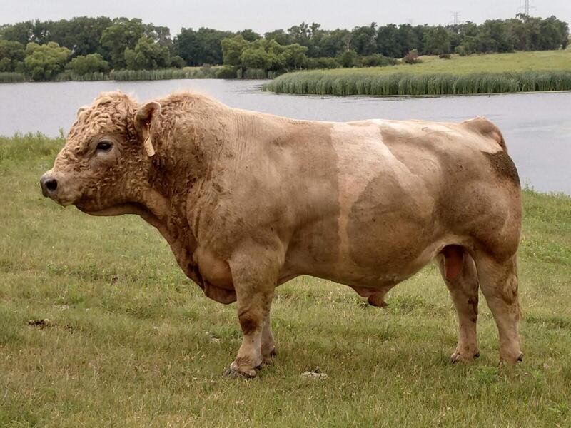 MeWe - The Next-Gen Social Network