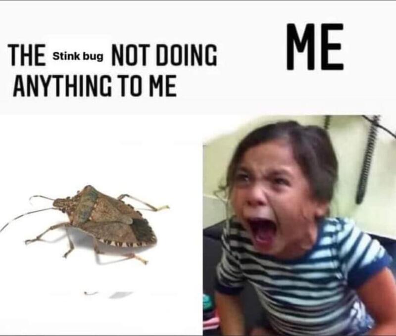 MeWe - The Next-Gen Social Network