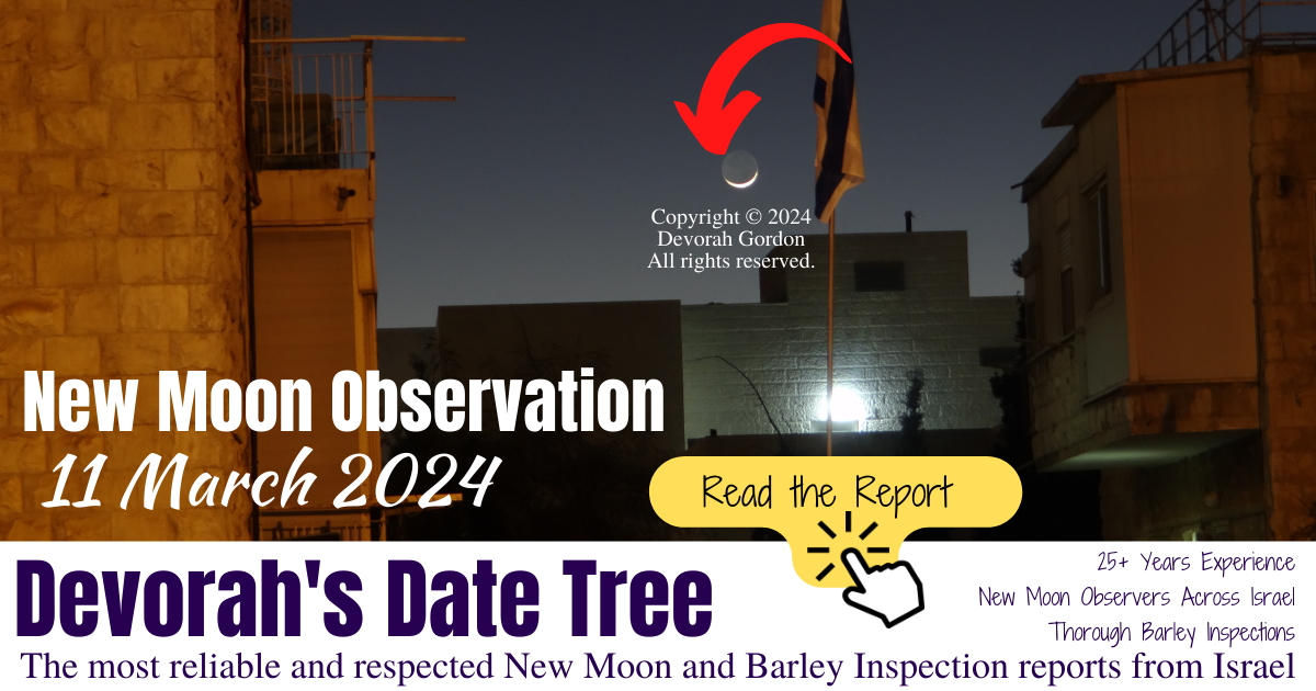 MeWe - The Next-Gen Social Network