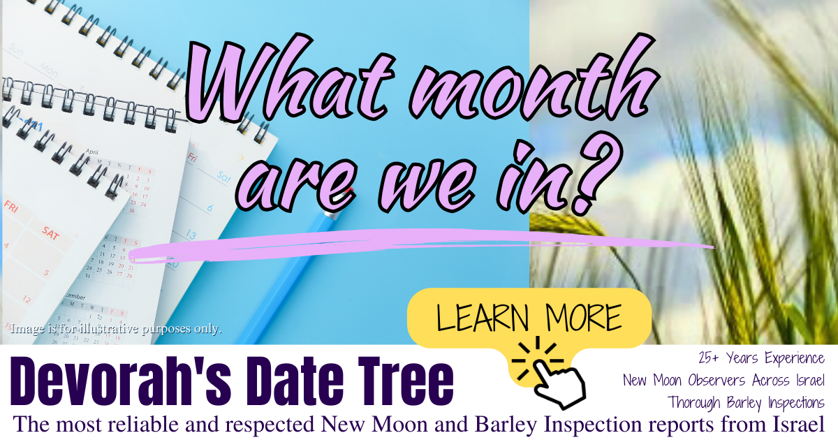 MeWe - The Next-Gen Social Network